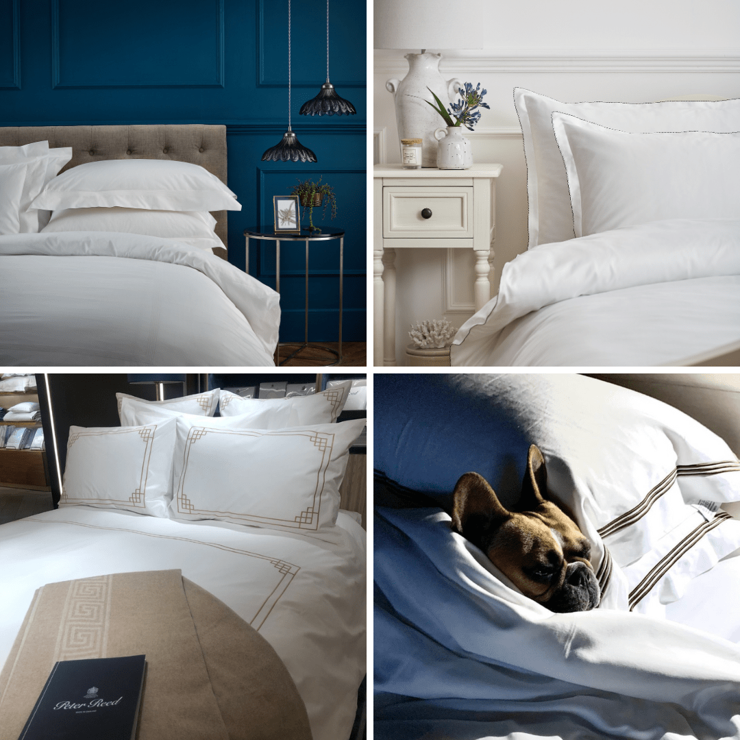 Case Study: RfM Transform and Peter Reed International | RfM Transform